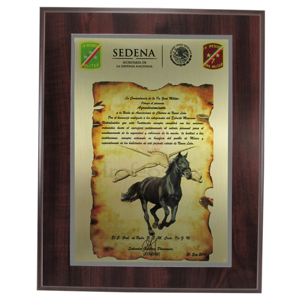 Placa MDF Sublimada - Trofeos.mx