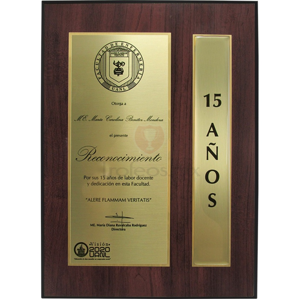Placa MDF Resina - Trofeos.mx