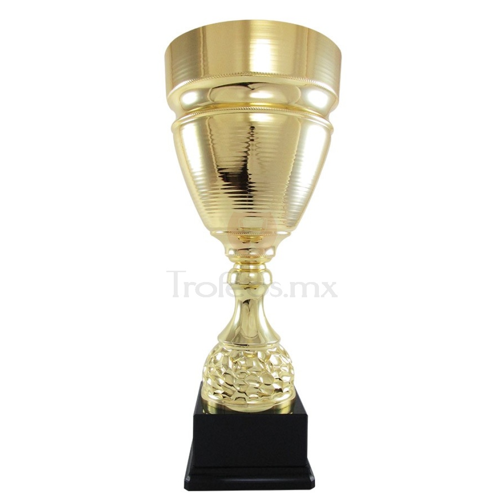 Dorado Copa Amica - Trofeos.mx