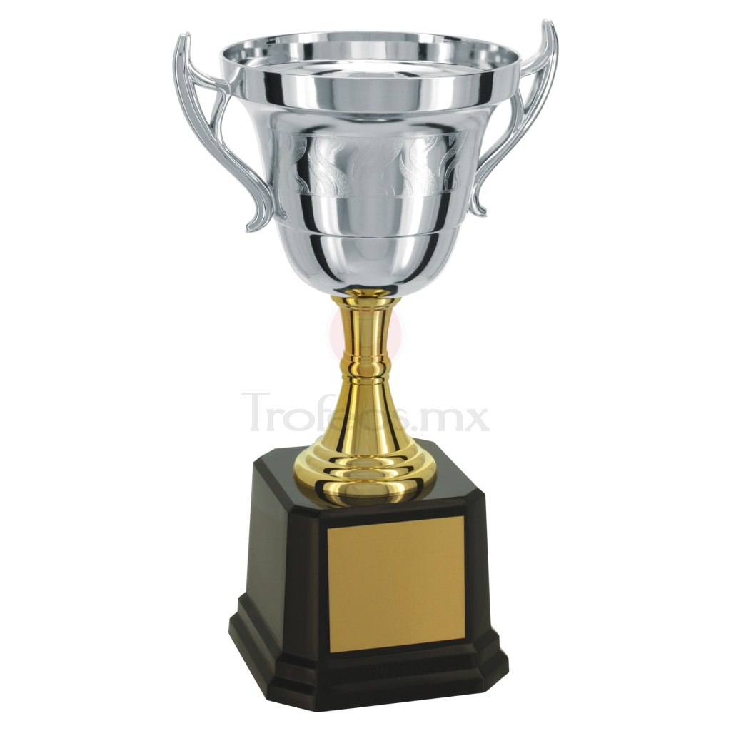 Trofeo Economico 501571 - Trofeos.mx