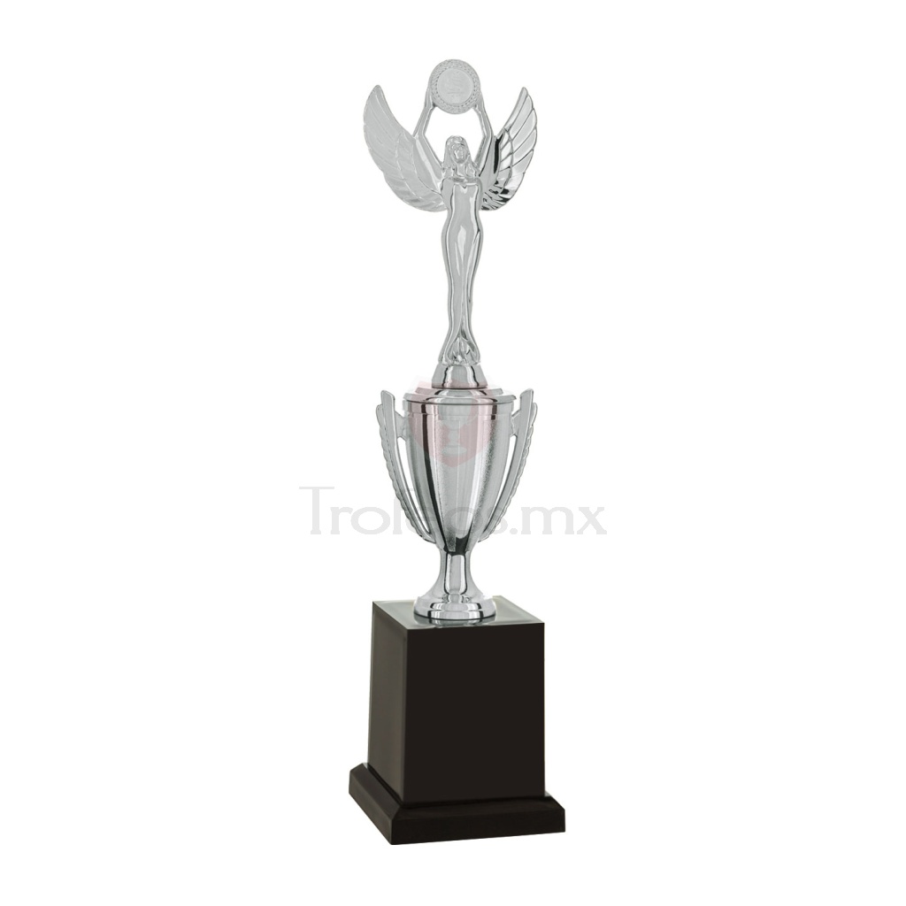 Trofeo Economico 501581 Plata - Trofeos.mx